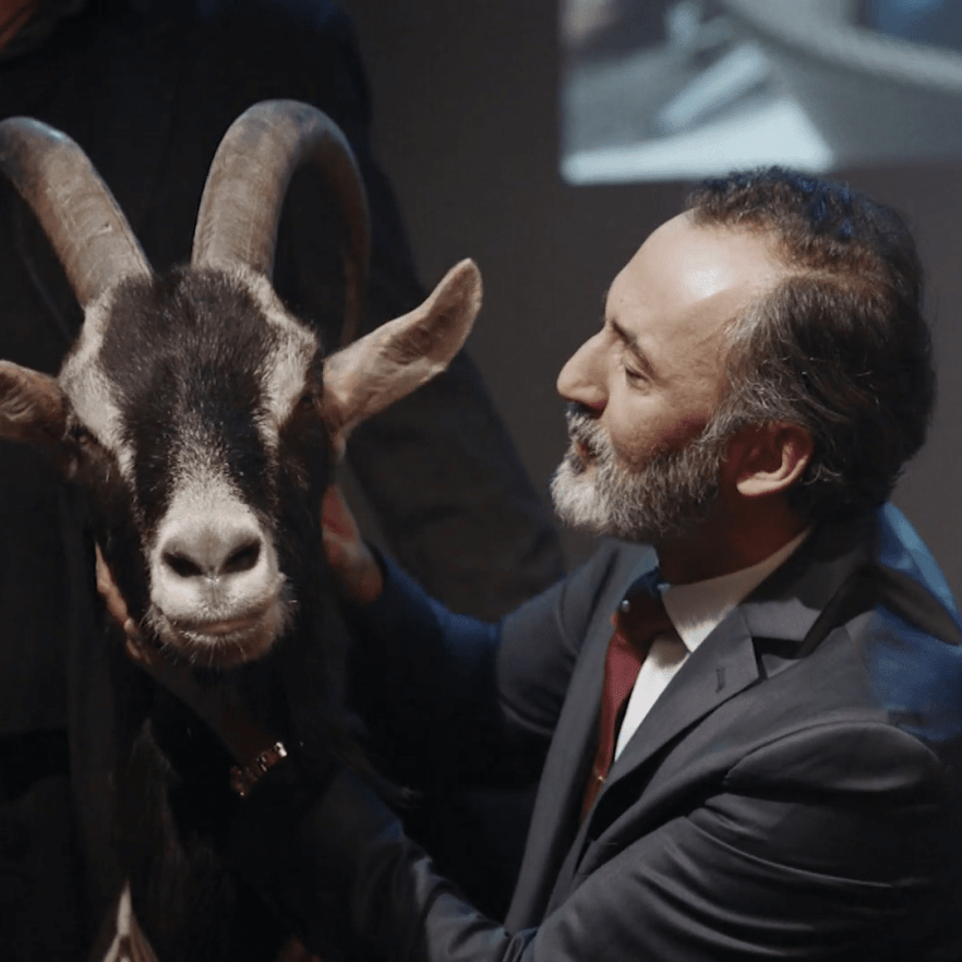Wilder, Season 1 (TV 2017) // The Arabs are Coming! – Swiss Me Deadly